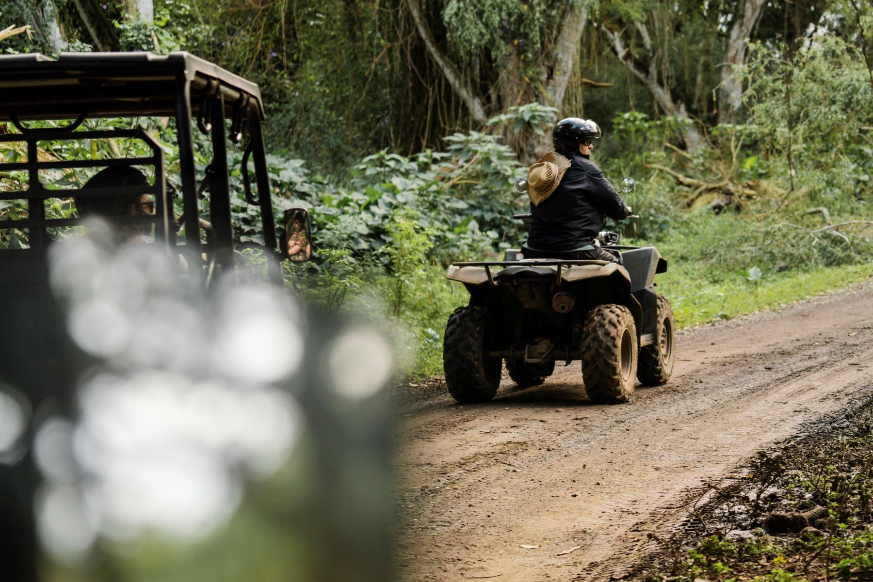 Unveiling the Ultimate Guide to ATV Tires: Traction, Terrain, and More ...